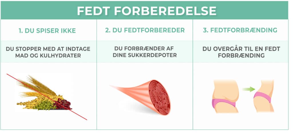 Guide til periodisk faste - Autofagi, 16:8, æggefaste og meget mere ...
